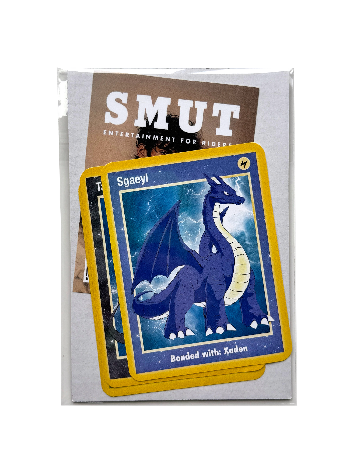 Dragon Rider Sticker Pack – Shop Bibliophile